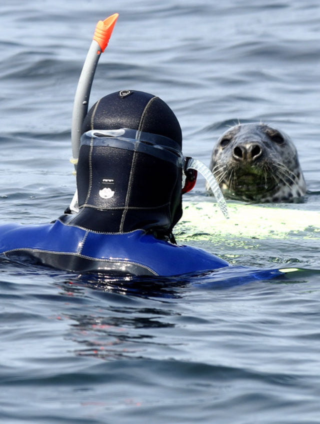 Policies - Perran Moon